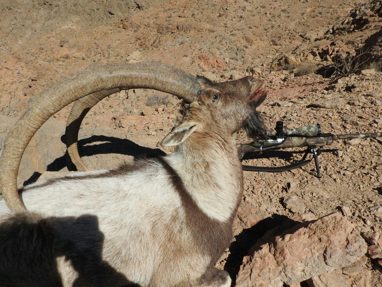 Traveling to Iran, Iran Travel, Journey to Iran, Iran Tour, Iran Travel ...